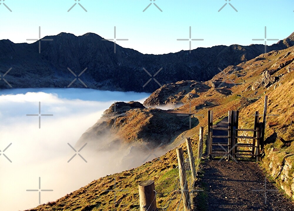 "Pygg Track Wales" by Karen Harding | Redbubble