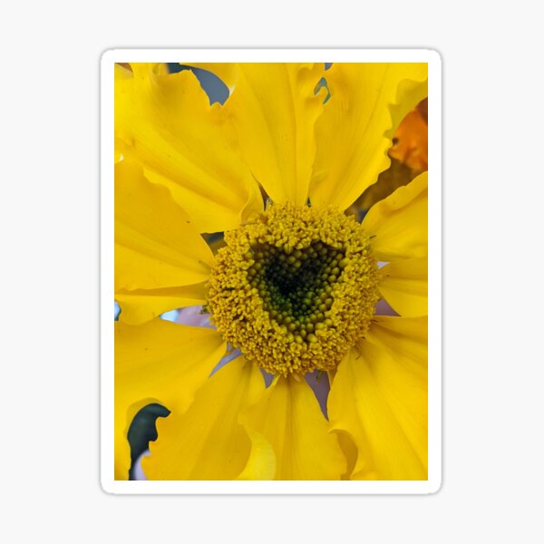 "Marigold heart" Sticker for Sale by Cedesstuff | Redbubble
