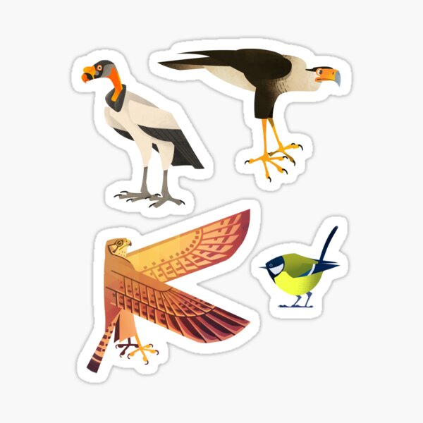 "birds collection #1" Sticker for Sale by 365animals | Redbubble