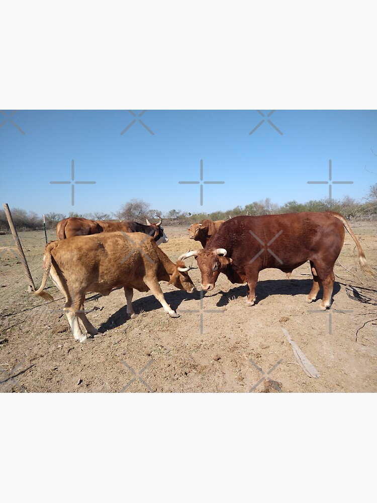 "Family Feud " Sticker by DMArtwork | Redbubble