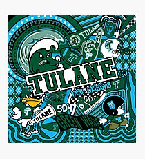 Tulane Wall Art | Redbubble