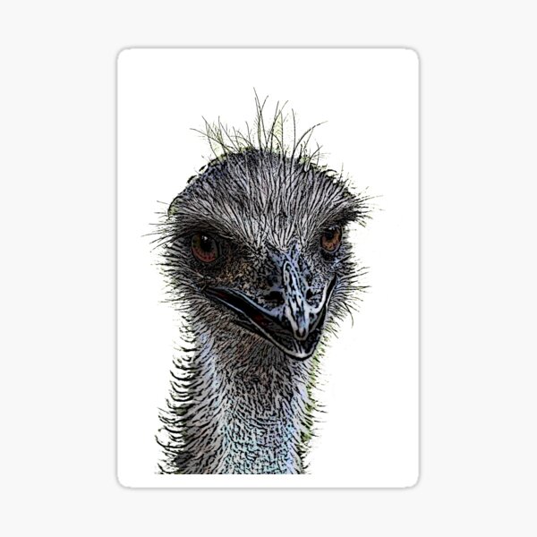 "Emu" Sticker for Sale by RickLionheart | Redbubble