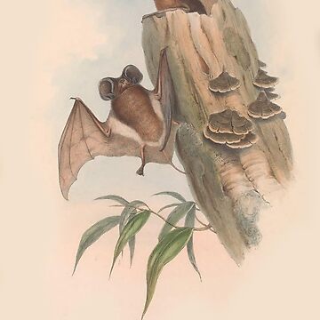 "Bats on a log illustration Australian animals series" Sticker for Sale ...