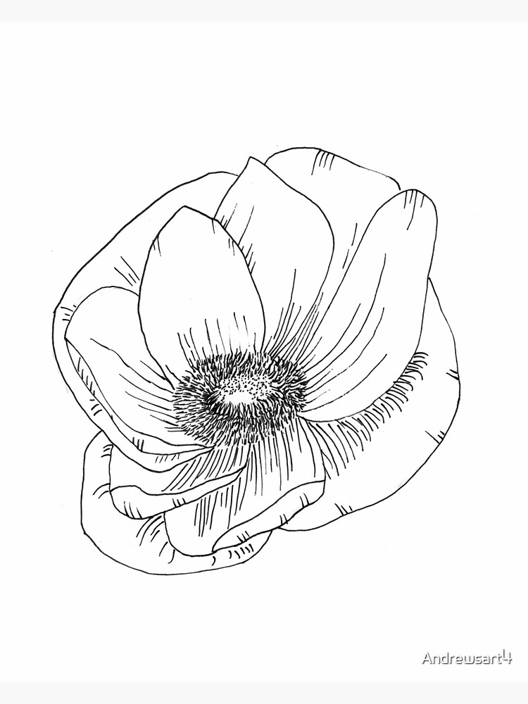 "Florals , anomie flower, Watercolor floral , Watercolor art,Line ...
