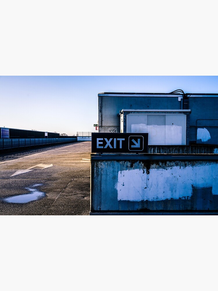 "Exit" Poster for Sale by theseguysthough | Redbubble