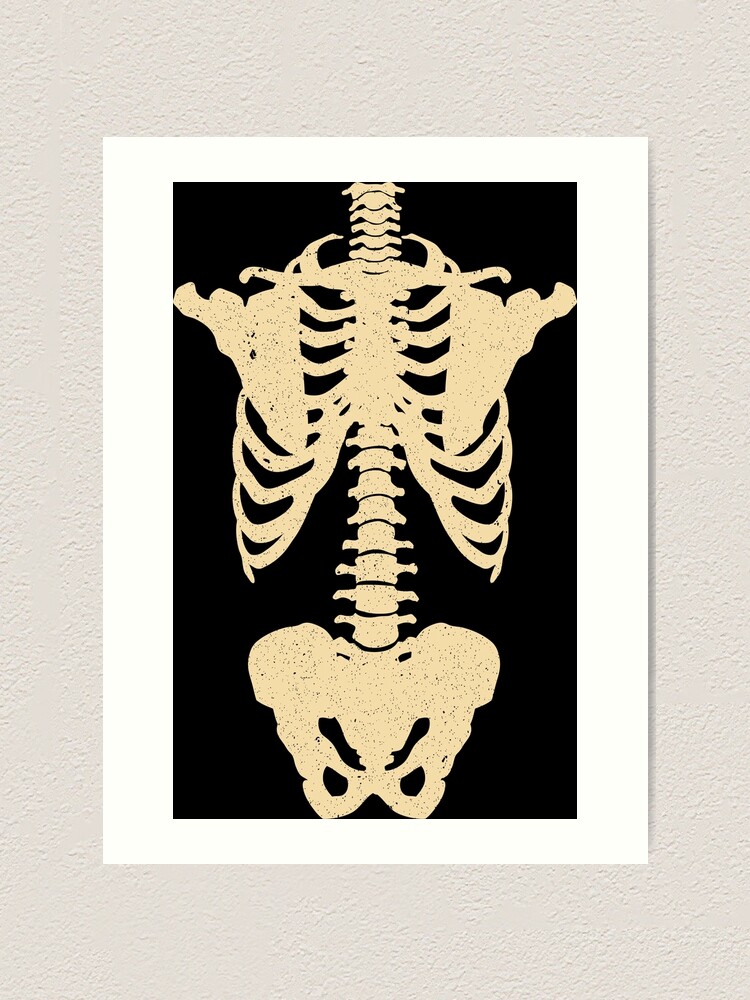 "Skeleton trunk torso anatomy posterior back dorsal" Art Print by ...