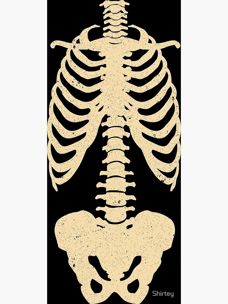 Póster «Esqueleto Tronco Torso Anatomía Anterior - Ventral» de Shirtey ...
