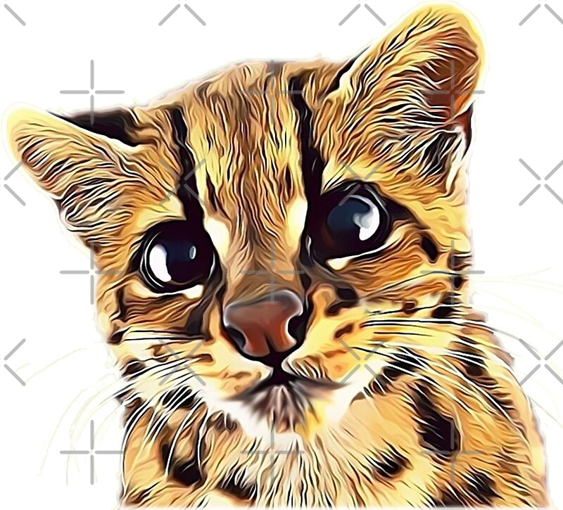 "Oncilla" by Manar-hamad | Redbubble