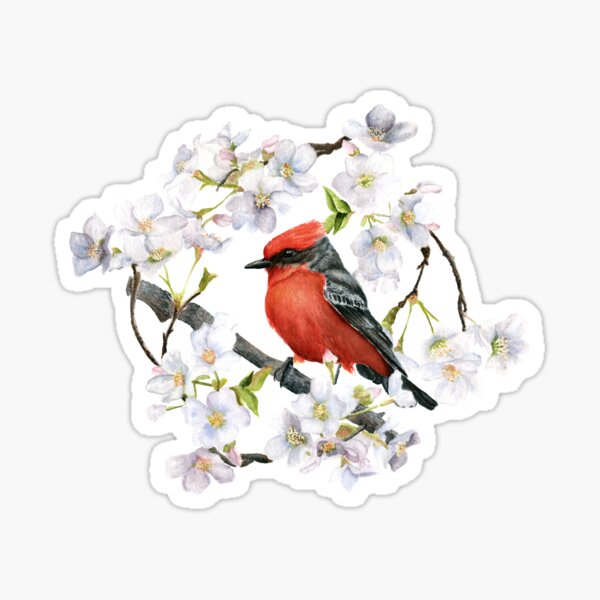 "Vermillion Flycatcher" Sticker for Sale by Chr0nicArtist | Redbubble