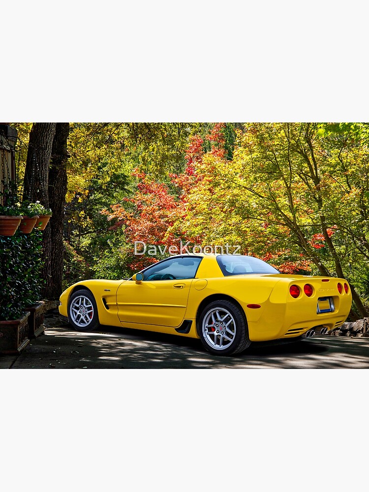 Corvette Amarillo 50 Aniversario Chevrolet Corvette C5R 1st GTS