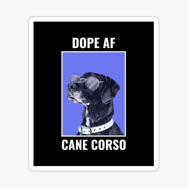 "My Dog is Dope AF Cane Corso" Sticker for Sale by boopsblunt | Redbubble