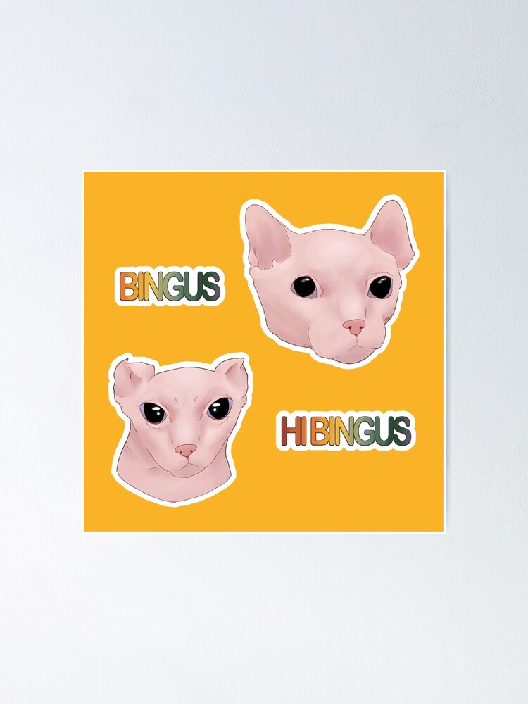 "hi bingus " Poster for Sale by GarbageSalt | Redbubble