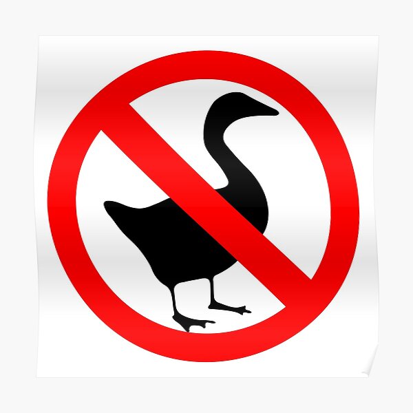 "No Geese Allowed" Poster for Sale by JCalvert-Design | Redbubble