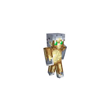 "Foolish Gamers Minecraft Skin" Sticker for Sale by rylee2020 | Redbubble