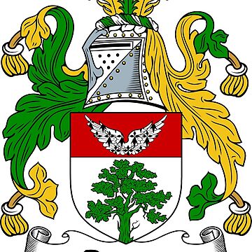 "Rainey Coat of Arms / Rainey Family Crest" Sticker for Sale by ...