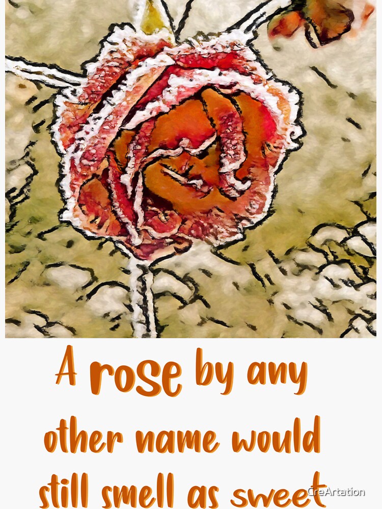 "A rose by any other name ..." Sticker for Sale by Cencerrita | Redbubble