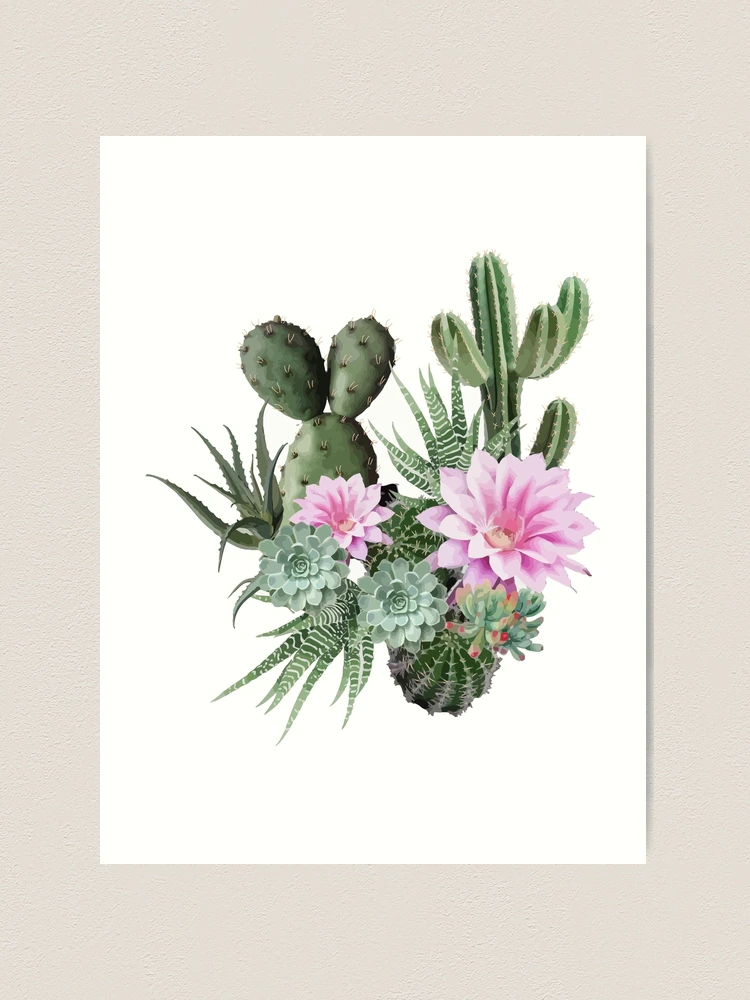 Dessin Succulent Tumblr
