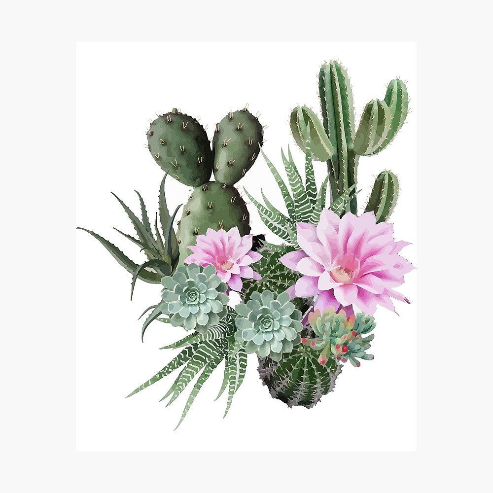 Home & Living Home Décor Cool Plants Cactus Digital Art etna.com.pe
