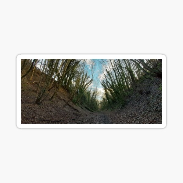 "Old railway cutting Lewes " Sticker by EmmaAmies | Redbubble