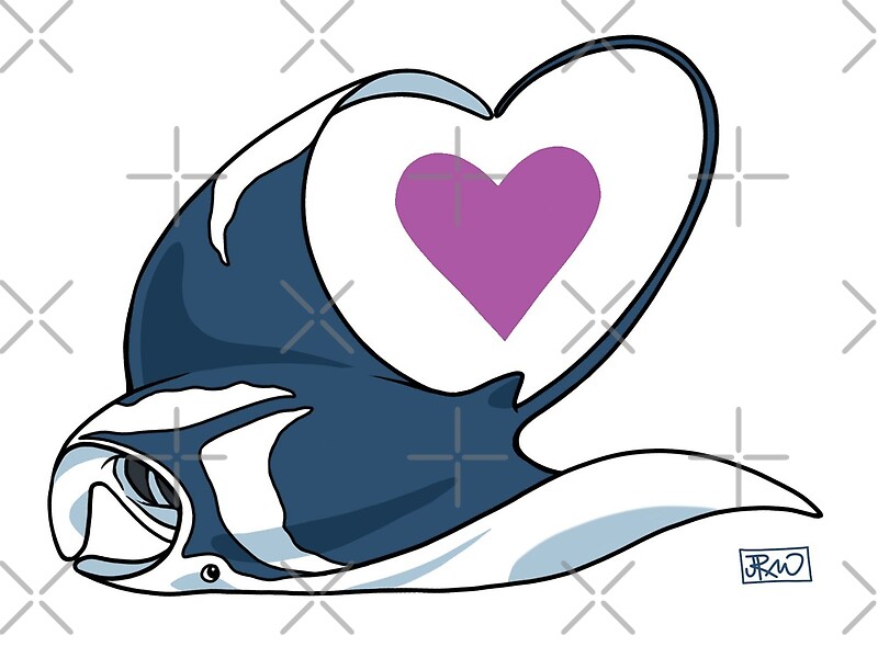 "Manta Ray Love" by Jen Richards | Redbubble