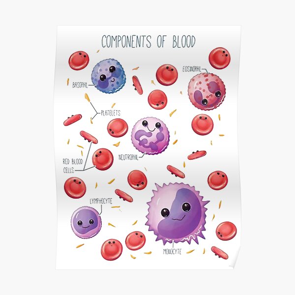 "Cute Funny Cells" Poster for Sale by Master-bg | Redbubble