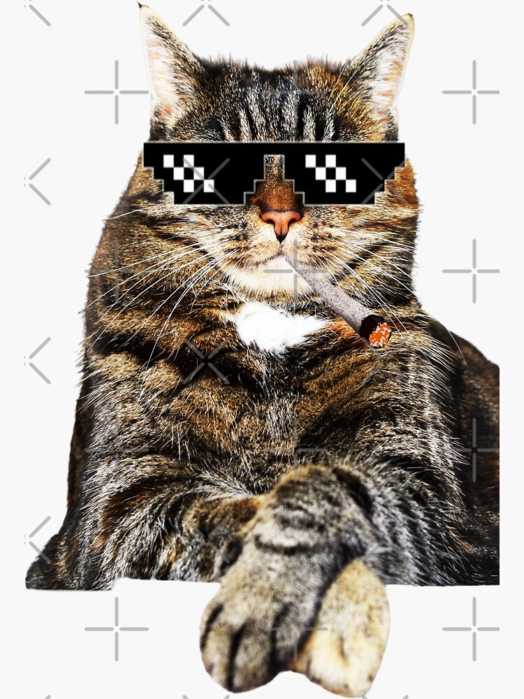 "Thug Life Cat" Sticker for Sale by Zulfiqqar | Redbubble
