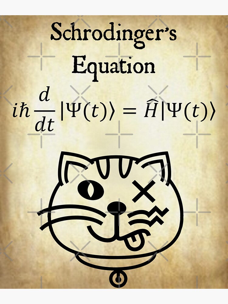 "Schrodinger's Equation Quantum Mechanics Physics Vintage Math Physics ...