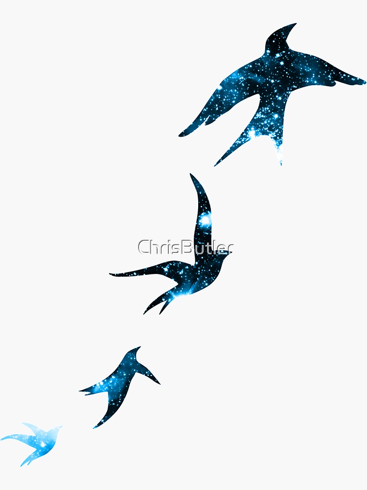 "Space Bird" Sticker by ChrisButler | Redbubble