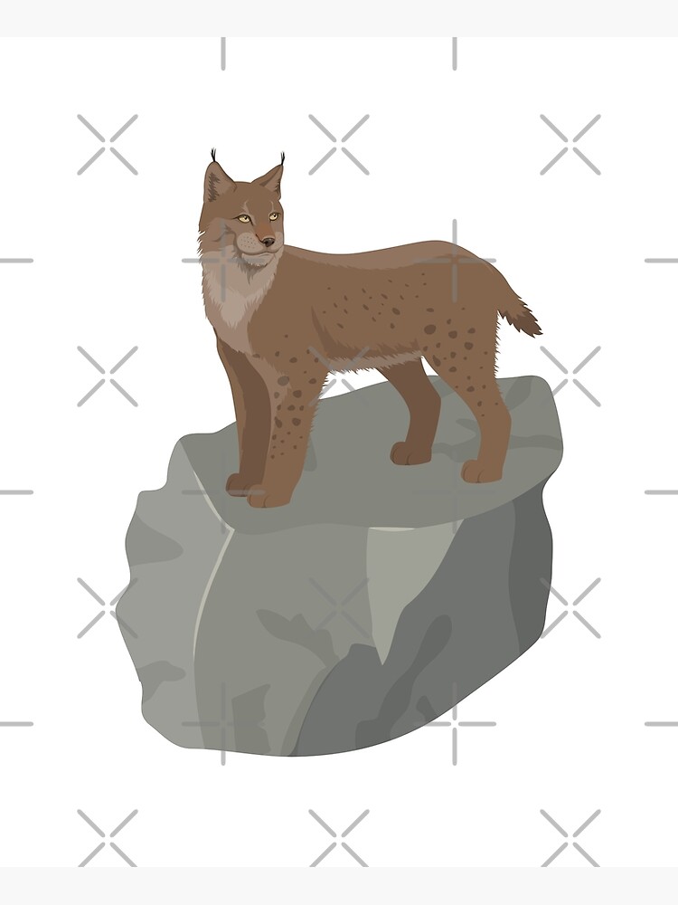 "Floppa on the rock" Poster for Sale by KOCKE | Redbubble