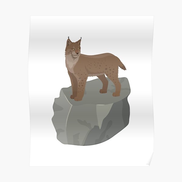 "Floppa on the rock" Poster for Sale by KOCKE | Redbubble