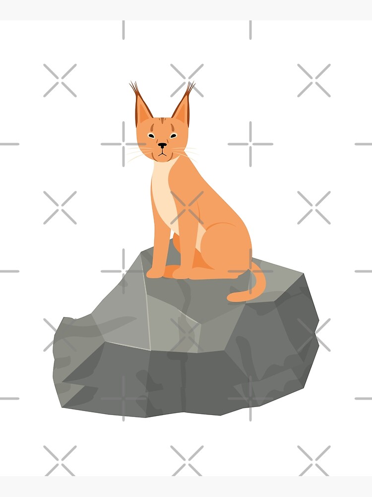 "Floppa on the rock" Poster by KOCKE | Redbubble