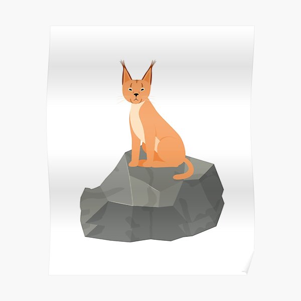 "Floppa on the rock" Poster by KOCKE | Redbubble