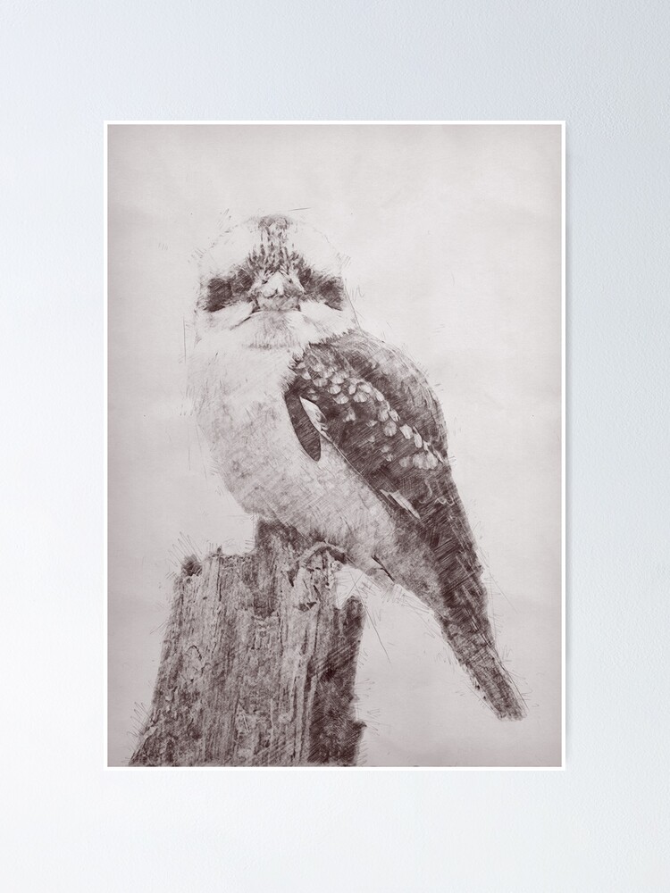 "cuckoo pencil drawing " Poster by simonrudd | Redbubble