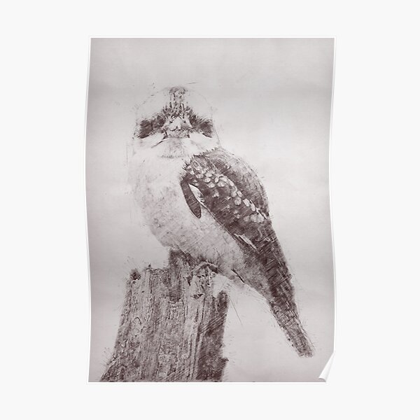"cuckoo pencil drawing " Poster by simonrudd | Redbubble
