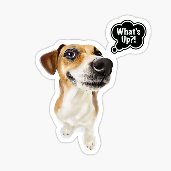 "Jack Russell Whats up Dog Nose" Sticker for Sale by katiii126 | Redbubble