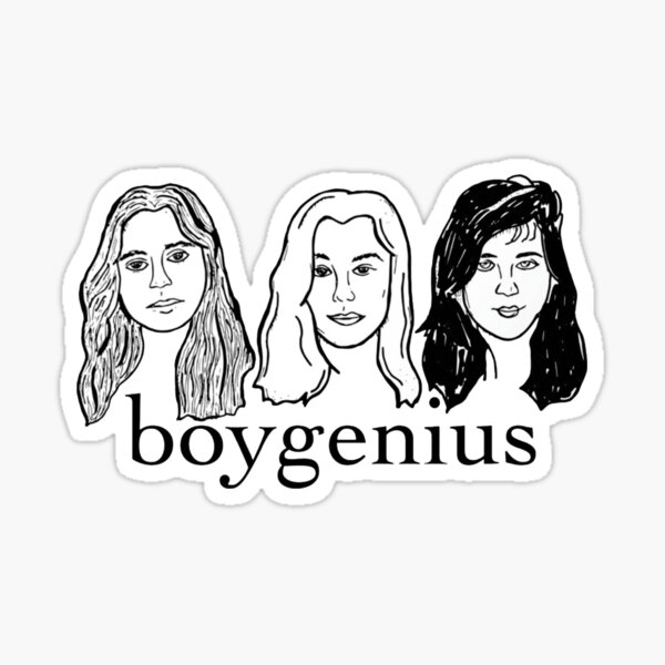 "Boygenius" Sticker for Sale by Twiver | Redbubble
