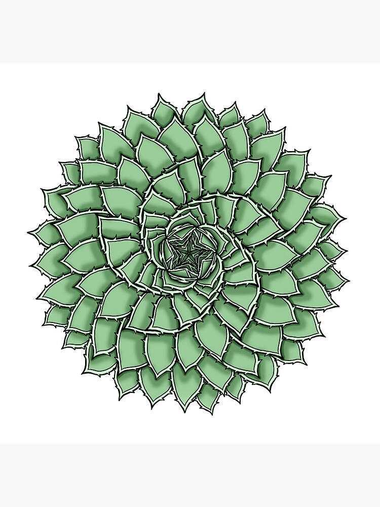 "Aloe Polyphylla Mandala" Art Board Print for Sale by SonoSonoStudio ...