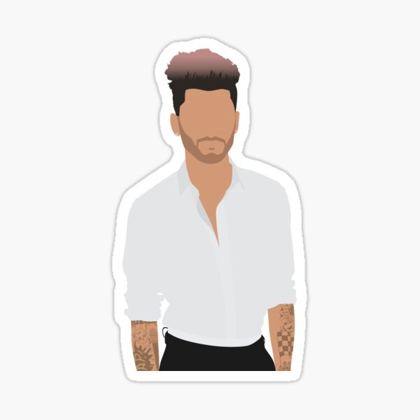 "Zayn" Sticker for Sale by sararchive | Redbubble