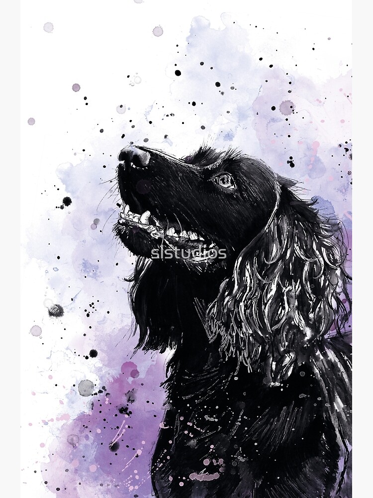 "Black Working Cocker Spaniel Watercolour Painting Art" Photographic ...
