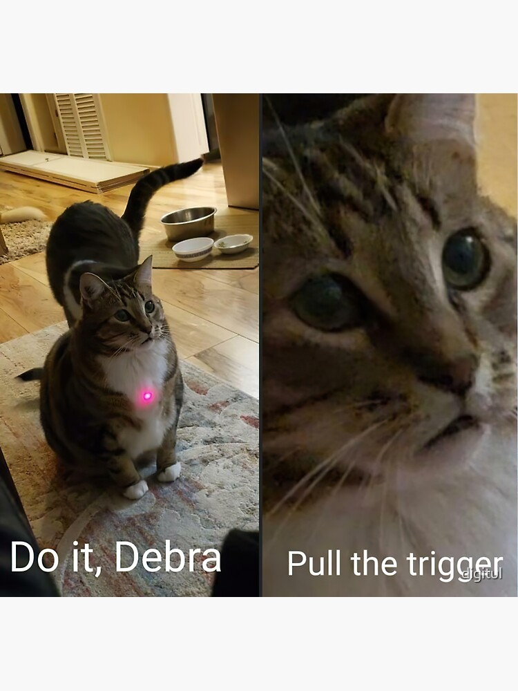 "HD Do it Debra, Pull the Trigger - Funny Cat Meme Image" Sticker by ...