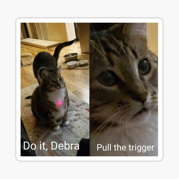 "HD Do it Debra, Pull the Trigger - Funny Cat Meme Image" Sticker by ...