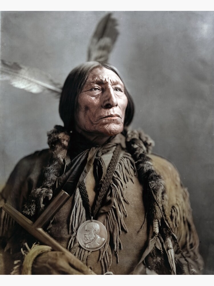 "Chief Wolf Robe" Sticker for Sale by billduncan | Redbubble