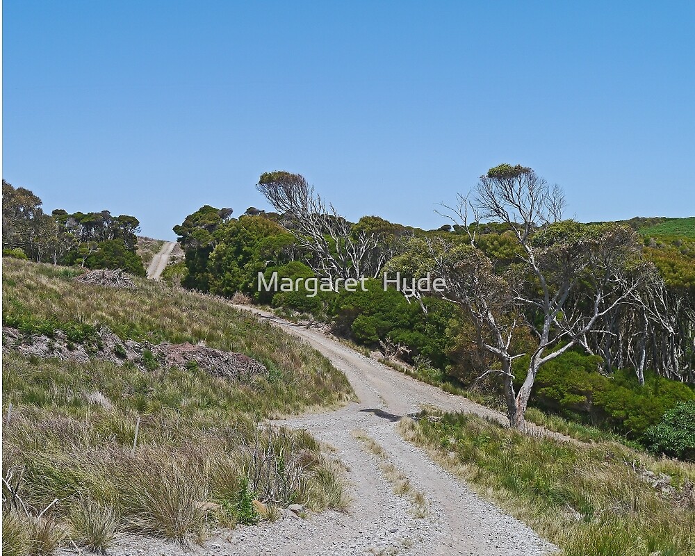 "Road to Mt Cameron West, Tasmania, Australia" by Margaret Hyde | Redbubble