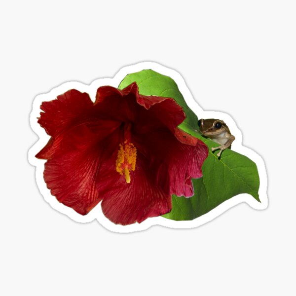 RelaxwithPR Shop | Redbubble