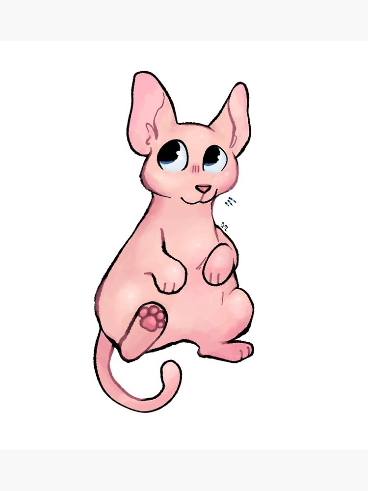 "Bingus !!!" Fotodruck von ratatouilleratt | Redbubble