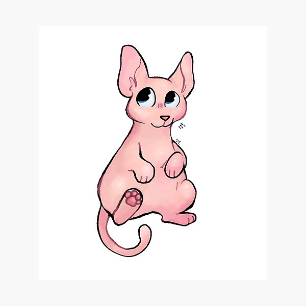 "Bingus !!!" Fotodruck von ratatouilleratt | Redbubble