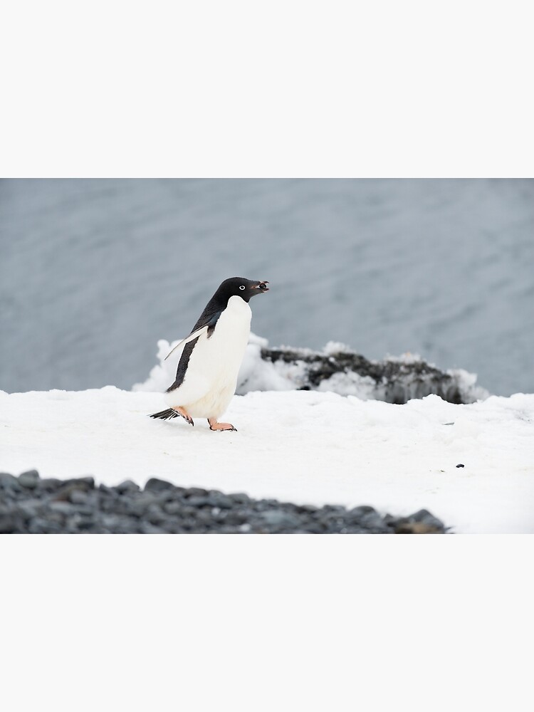 "The perfect pebble" Poster for Sale by mprior | Redbubble