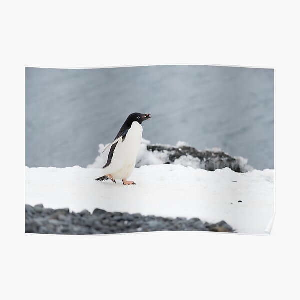 "The perfect pebble" Poster for Sale by mprior | Redbubble