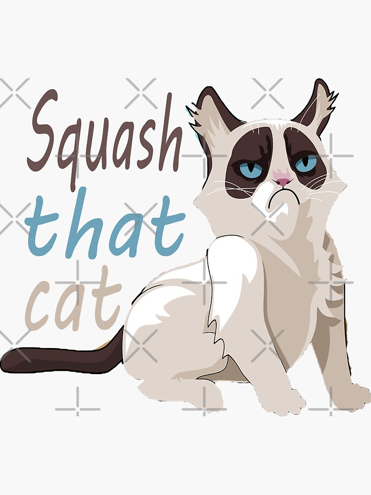 " Squish that cat-pet animal" Sticker for Sale by merchfun2 | Redbubble
