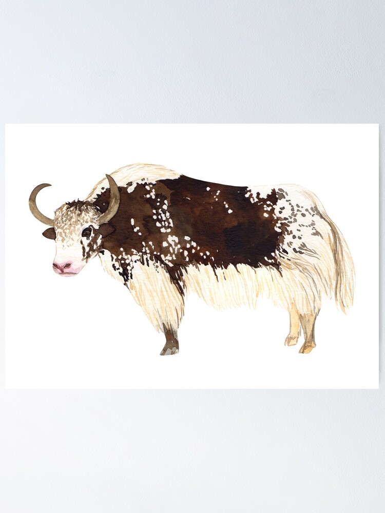 "YAK" Poster by bananaflamingo | Redbubble